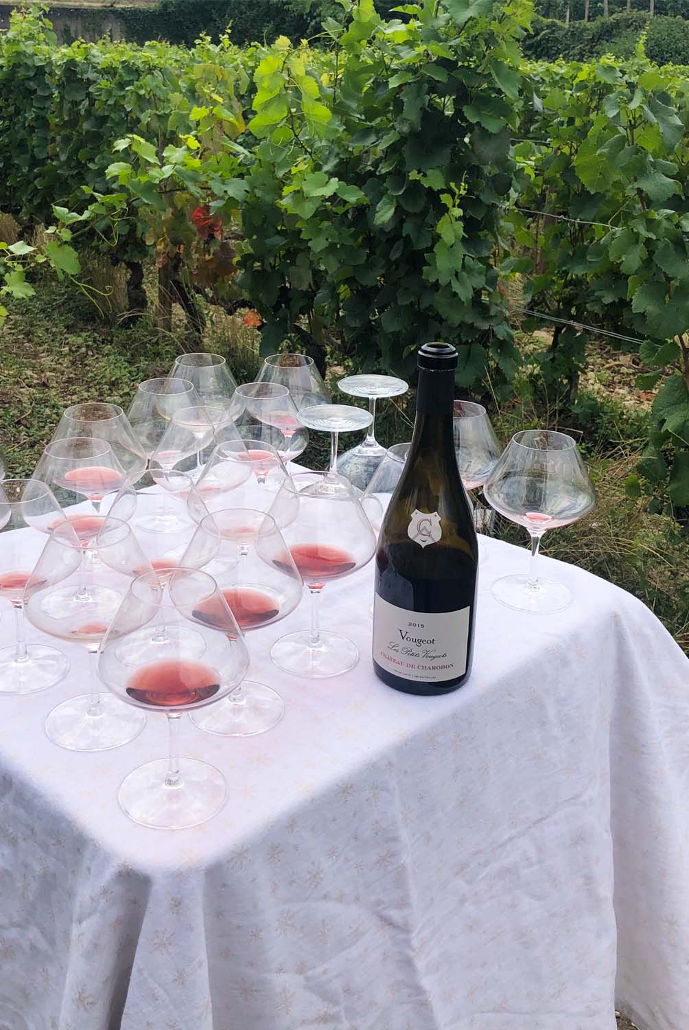 The Wine Oracle | Captivating corporate wine events for a global audience